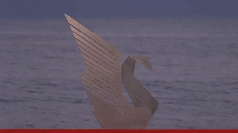 Cinema Swan GIF by The Marias - Find & Share on GIPHY