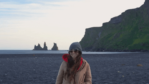 Black Sand Beach GIF by Chris - Find & Share on GIPHY