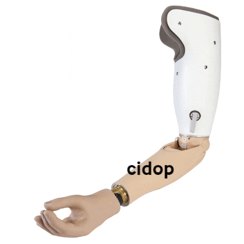 Leg-prosthesis GIFs - Get the best GIF on GIPHY