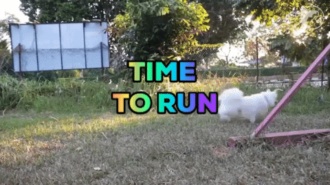 Time To Run GIFs - Find & Share on GIPHY