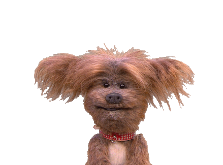 Happy Bbc Sticker by CBeebies HQ for iOS & Android | GIPHY