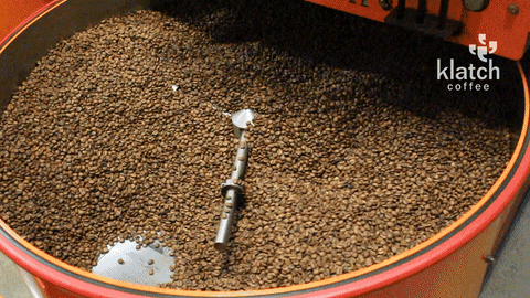 Klatch Roasting GIF - Find & Share on GIPHY