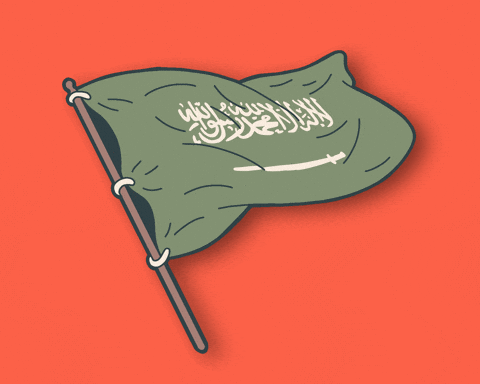 Saudi Arabia GIFs - Get the best GIF on GIPHY