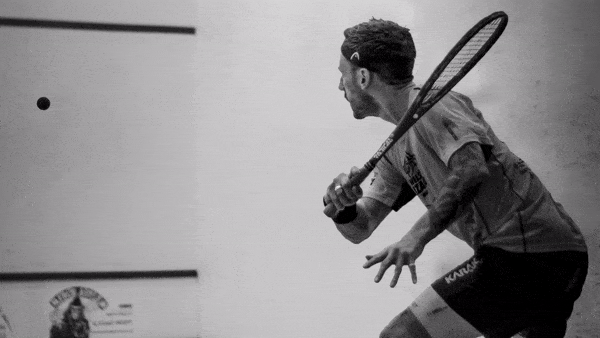 Wales Squash GIFs - Get the best GIF on GIPHY