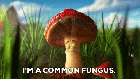 Earth Mushroom GIF by Lil Dicky - Find & Share on GIPHY