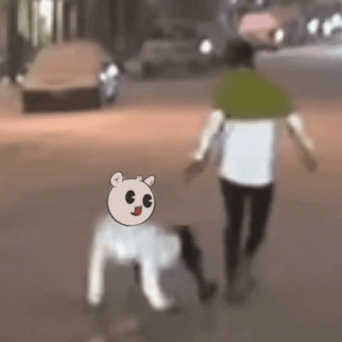 HeyF GIFs on GIPHY - Be Animated