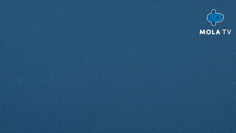 Happy Animation GIF by Mola TV Kids - Find & Share on GIPHY