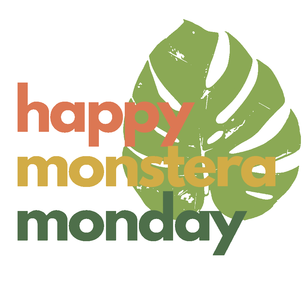 Happy Monday Sticker by Ashley Rose Clothing for iOS & Android | GIPHY
