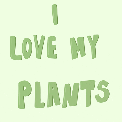 I Love My Plants GIFs - Get the best GIF on GIPHY