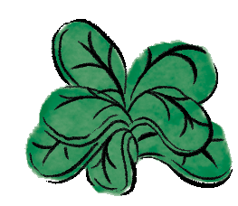 Spinach Sticker by Bareburger for iOS & Android | GIPHY