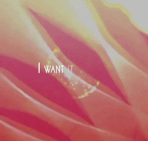 I Want It All Now GIFs - Get the best GIF on GIPHY