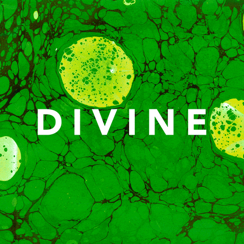 DIVINE GIFs on GIPHY - Be Animated