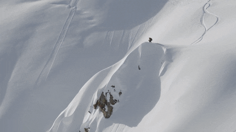 Powder-day GIFs - Get the best GIF on GIPHY