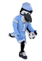 Blue Jay Football Sticker by Johns Hopkins University for iOS & Android ...