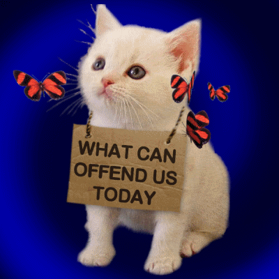 Cute White GIFs - Get the best GIF on GIPHY