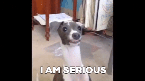 I Am Serious Gif