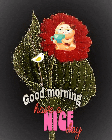 Giphy Via Images Good Morning Good Morning Travel GIF By Yevbel Find