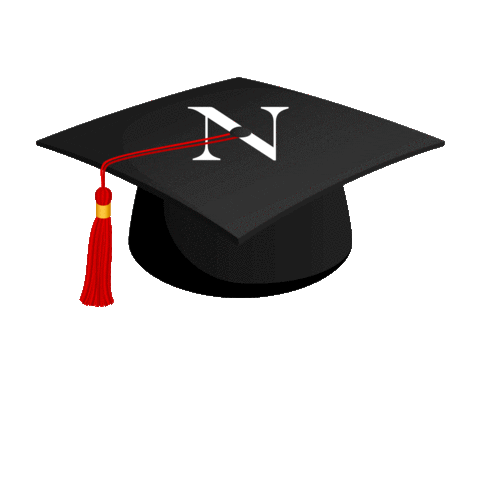 Northeastern University GIFs on GIPHY - Be Animated