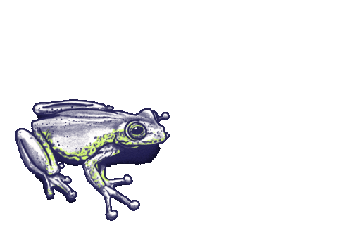 Rainbow Toad Gif