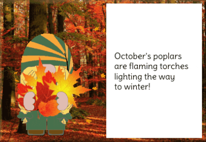 Torch-light GIFs - Get the best GIF on GIPHY