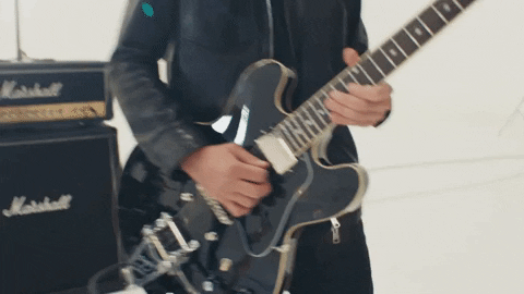 Birds-playing-guitar GIFs - Get the best GIF on GIPHY