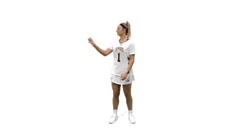UMBC Athletics GIFs on GIPHY - Be Animated