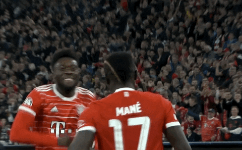 Mane-celebration GIFs - Get the best GIF on GIPHY