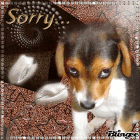 Im Sorry Puppy Gif Im Sorry GIFs Find & Share On GIPHY