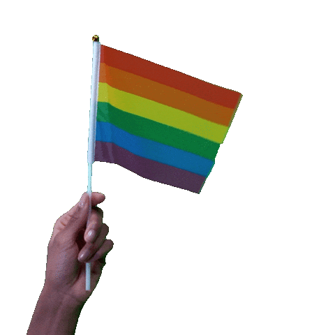 12 Stickers for Flag Day by Hello All | GIPHY