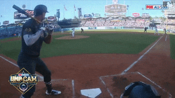 New York Yankees GIFs on GIPHY - Be Animated