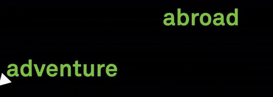 Semester Abroad GIFs - Get the best GIF on GIPHY