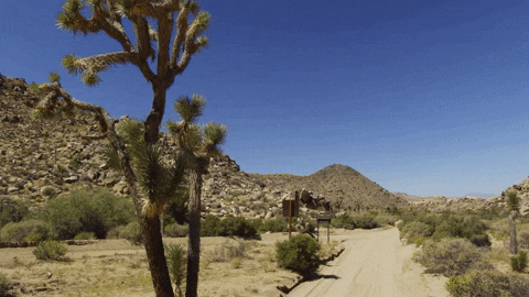 Palm Desert GIFs - Get the best GIF on GIPHY