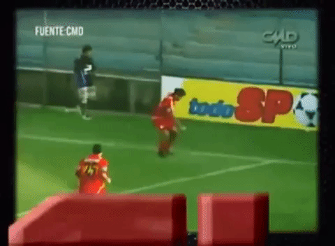 Checho GIFs - Get the best GIF on GIPHY