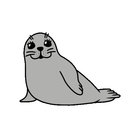 Sea Lion Animated Gif