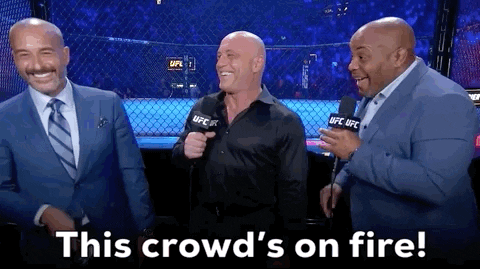 Relive Every Epic Moment from UFC291 With These 8 GIFs! by Sports GIFs ...