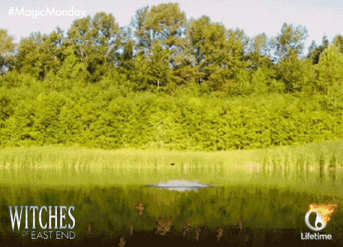 Witches-east-end GIFs - Get the best GIF on GIPHY