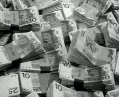 Money Cash GIF by Beeld en Geluid - Find & Share on GIPHY