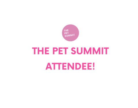 The Pet Summit GIFs on GIPHY - Be Animated