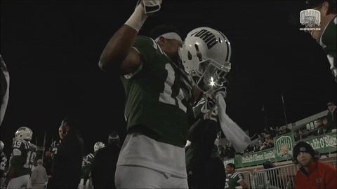Ohio Football GIFs on GIPHY - Be Animated