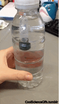 Best squeezing GIFs - Primo GIF - Latest Animated GIFs