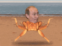 Putin Riding A Ritz Cracker