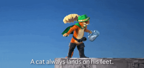 Cats-always-land-on-their-feet GIFs - Get the best GIF on GIPHY