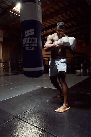 Nocco GIFs - Get the best GIF on GIPHY