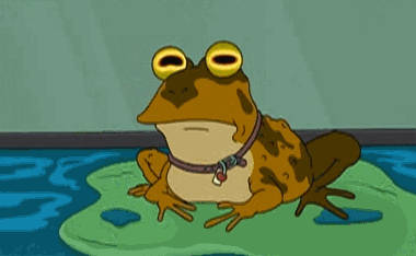 Hallucinogenic Frog GIFs - Get the best GIF on GIPHY