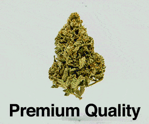 LIFECBD GIFs on GIPHY - Be Animated