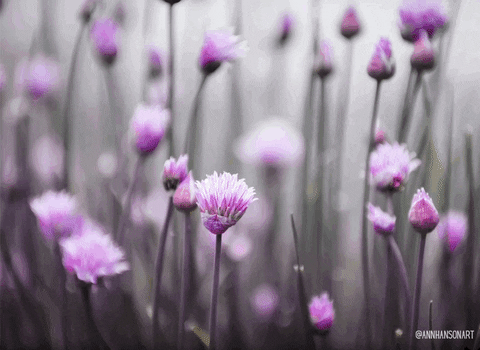 Happy Spring GIFs on GIPHY - Be Animated