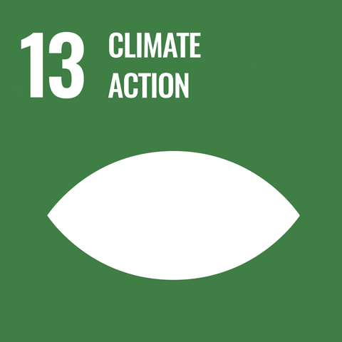 Yorku Sdg13 GIF by York University - Find & Share on GIPHY