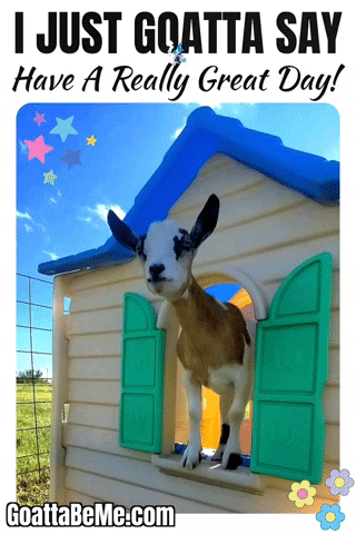 Pet-goat GIFs - Get the best GIF on GIPHY