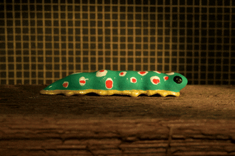 Green-caterpillar GIFs - Get the best GIF on GIPHY