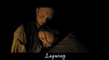 LAPWING GIFs on GIPHY - Be Animated